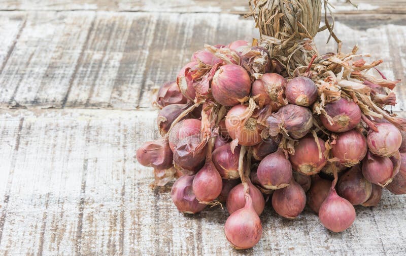 Fresh bunch shallots stock image. Image of healthy, spice - 69970105