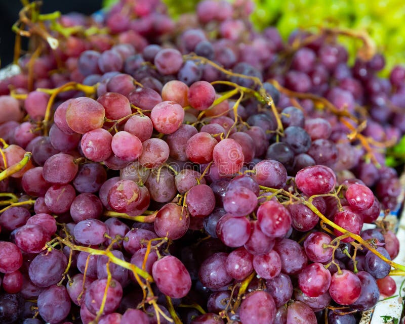 Fresh Bunches Grapes on Counter in Food Market Stock Image - Image of ...