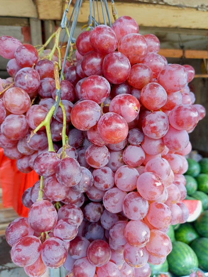 Fresh Bunches of Red Grapes Hang in the Fruit Shop Stock Photo - Image ...