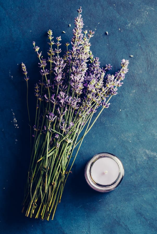 Fresh bundle of lavender stock image. Image of background - 138038841