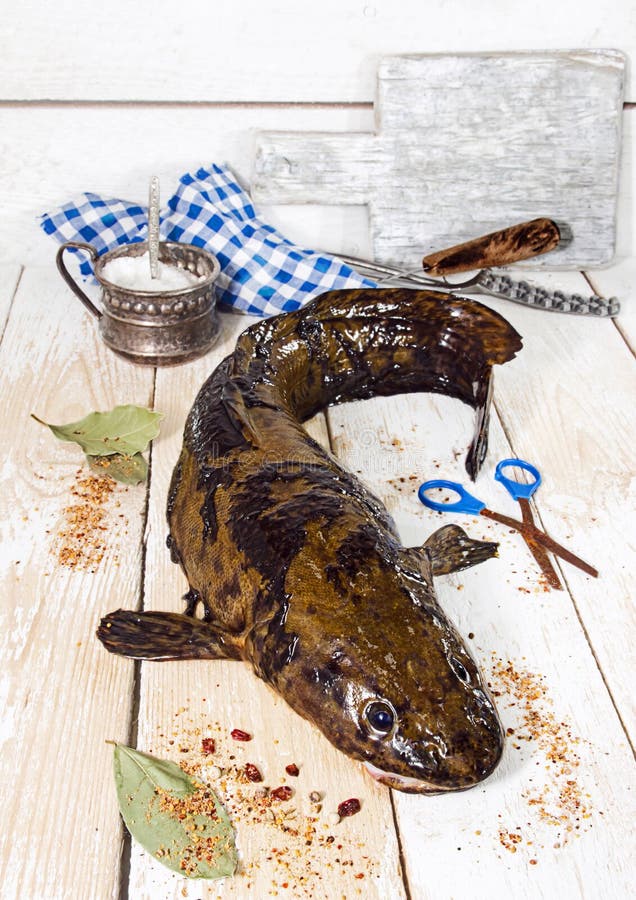 Burbot fish stock photo. Image of lemon, gourmet, freshness - 20319668