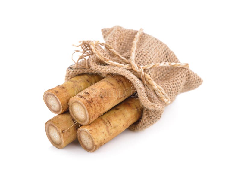 Fresh Burdock Root or Gobo on White Background Stock Image - Image of ...