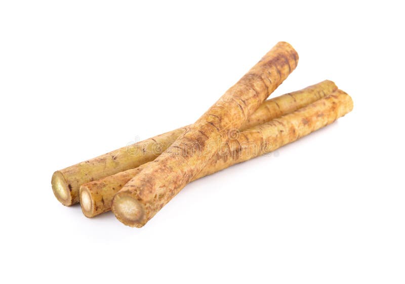 556 Gobo Stock Photos - Free & Royalty-Free Stock Photos from Dreamstime