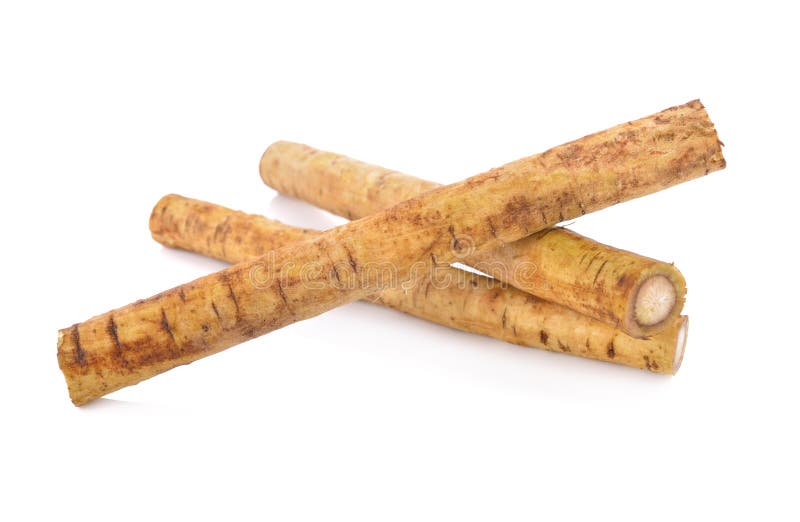 Fresh Burdock Root or Gobo on White Background Stock Image - Image of ...
