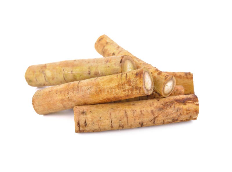 Fresh Burdock Root Or Gobo On White Background Stock Image - Image of ...