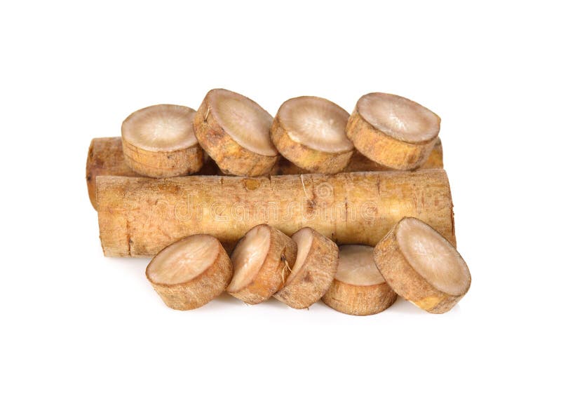 Fresh Burdock Root or Gobo on White Background Stock Image - Image of ...