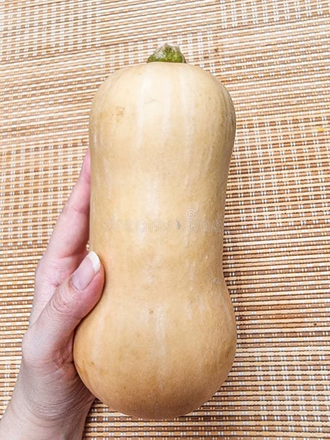 Fresh Butternut from the Farm. Stock Image - Image of finger, monument ...