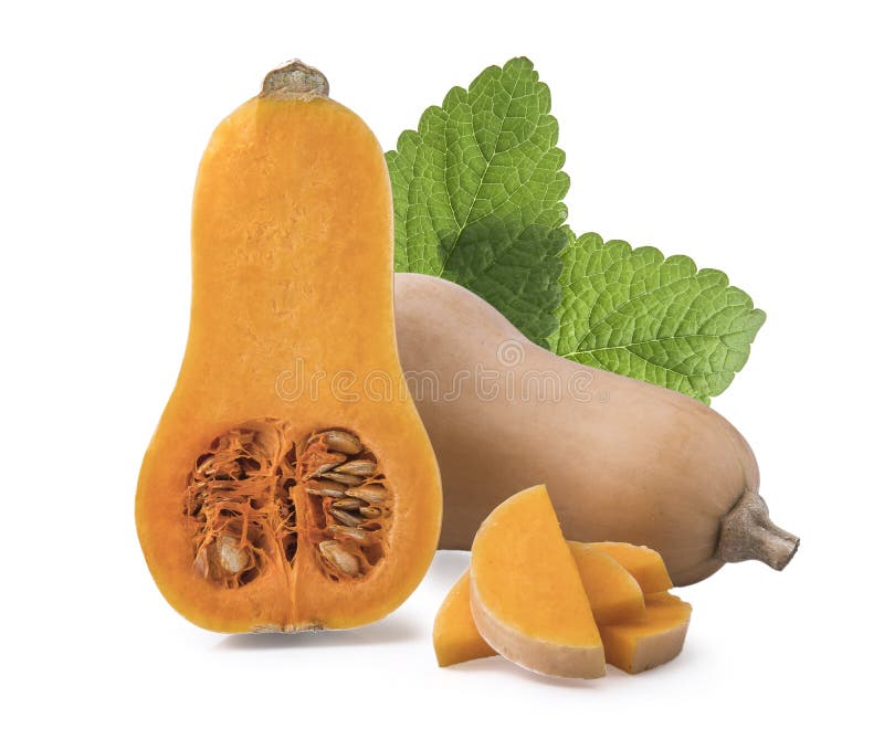Fresh Butternut Squash Isolated on a White Stock Image - Image of ...