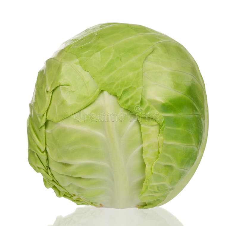 Fresh cabbage stock photo. Image of background, closeup - 26799950