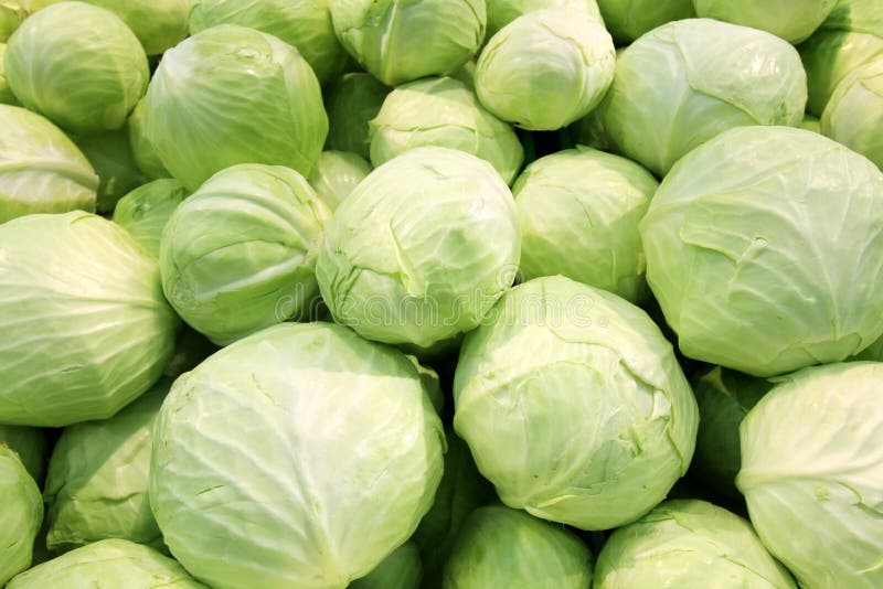 Cabbages stock image. Image of cabbage, vegetable, produce - 29864455