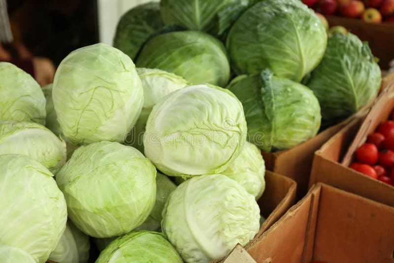 Fresh Cabbage in Cardboard Boxes at Market Stock Image - Image of leaf ...
