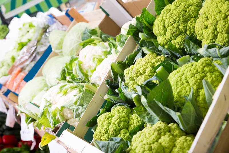 Fresh Cabbage on the Counter Stock Image - Image of produce, stand ...