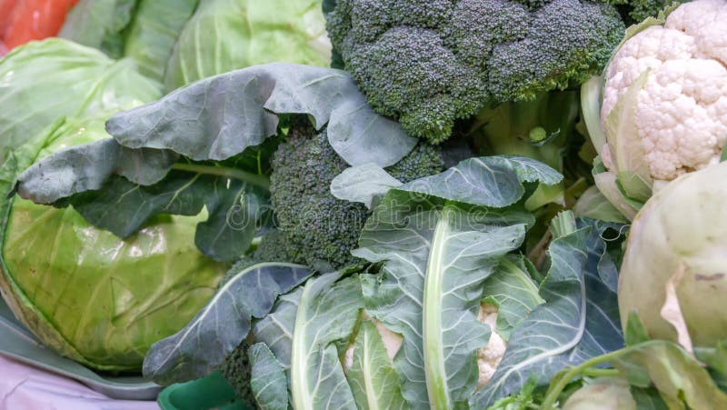 Fresh Cabbage Heads of Different Varieties Stock Image - Image of ...