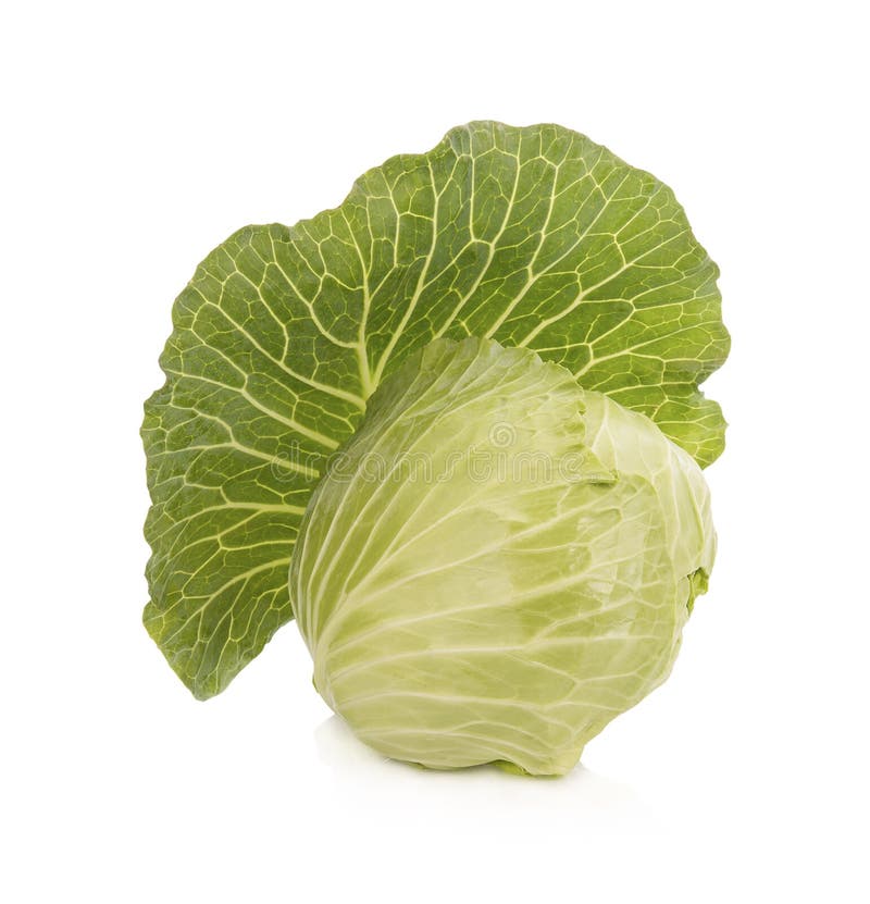 Cabbage heart stock photo. Image of foliage, biology - 33136226