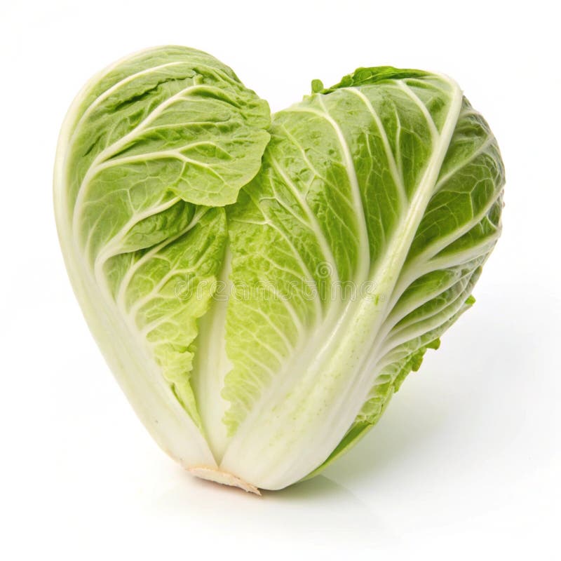 Fresh Cabbage in Heart Shape Isolated on White Background Stock ...