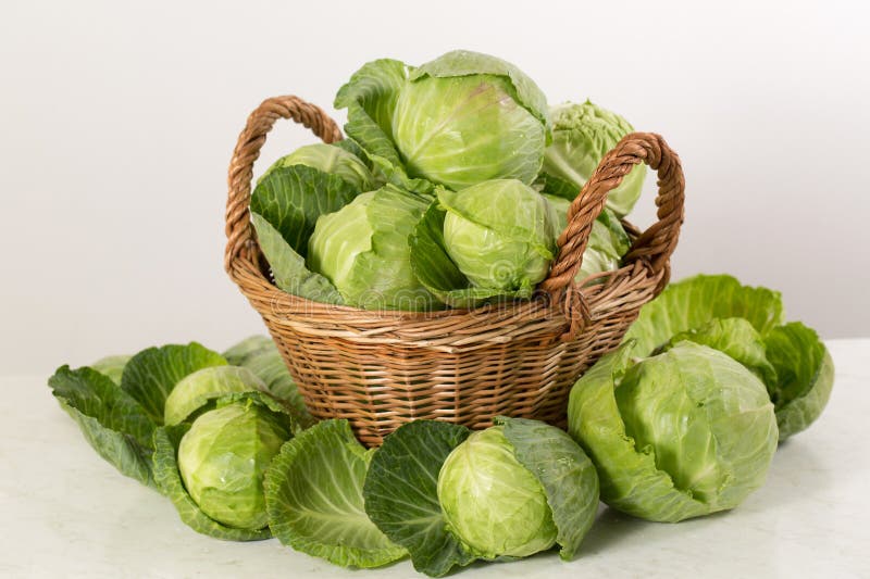 Fresh Cabbage in a Large Wicker Basket on a White Background Stock ...