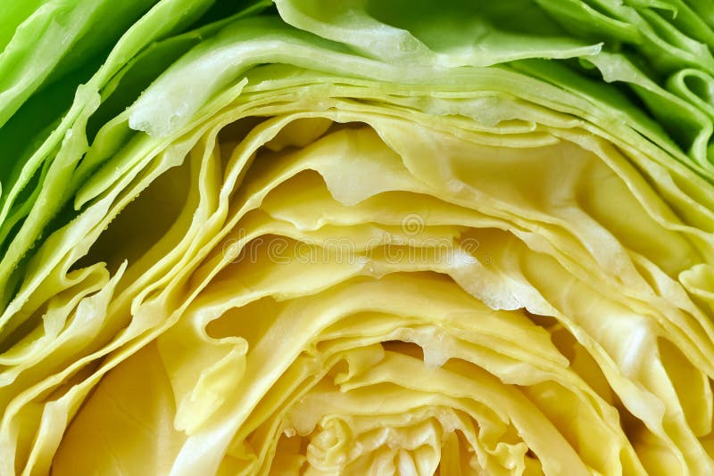 Fresh Cabbage Leaves Macro Image Stock Image - Image of nutrition ...