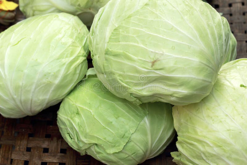 Fresh Cabbage in the Market. Stock Photo - Image of healthy, food: 38800812