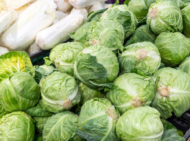 Fresh Cabbage on the Shelf in the Supermarket Stock Image - Image of ...