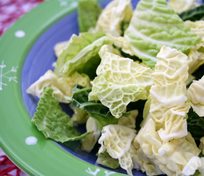 Fresh cabbage stock image. Image of cuisine, vitamins - 37200747