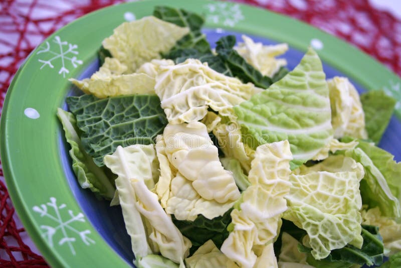 Fresh cabbage stock photo. Image of lunch, dinner, healthy - 37200892