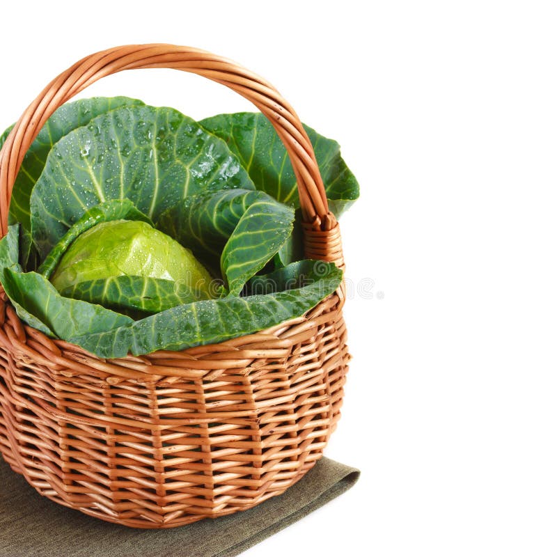 Cabbage. stock photo. Image of salad, garden, ingredient - 29975838