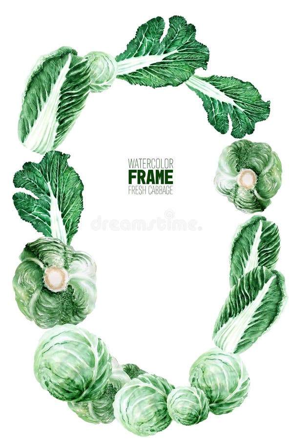 Watercolor Frame with Fresh Cabbage. Heads and Leaves Stock ...