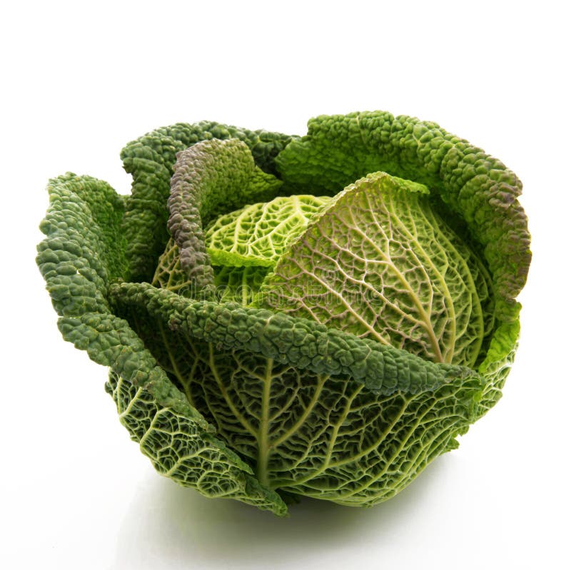 Fresh Cabbage On White Background Stock Photo - Image of cabbage ...