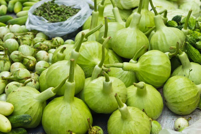 Fresh Calabash stock image. Image of gourd, edible, bean - 42500079