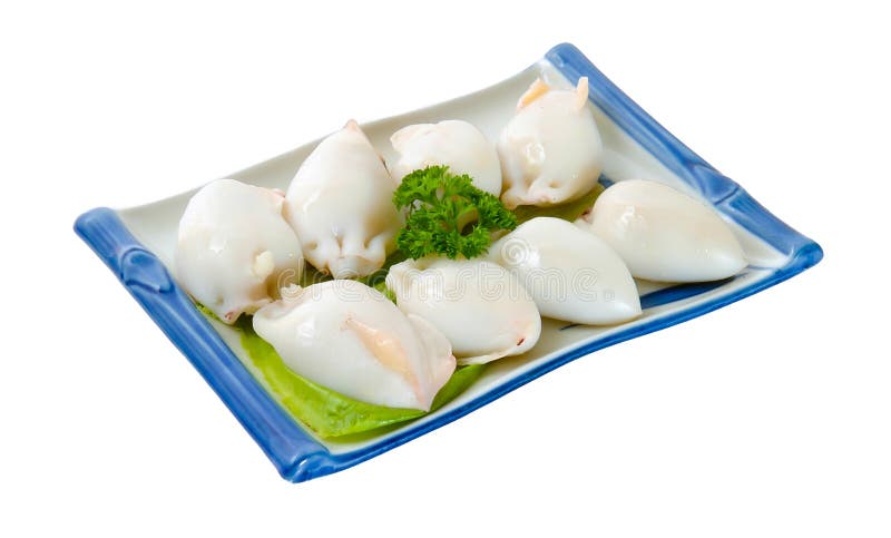 Fresh Calamari . Fresh Calamari Close-Up. Stock Photo - Image of lemon ...