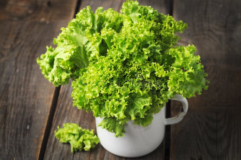 Fresh cale stock image. Image of nutrition, lettuce, horizontal - 58796387
