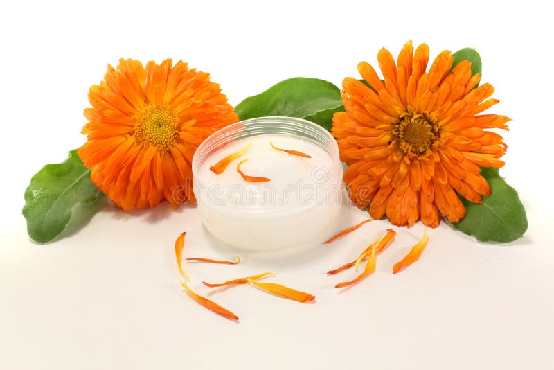 Fresh Calendula Ointment stock image. Image of garden - 24339731