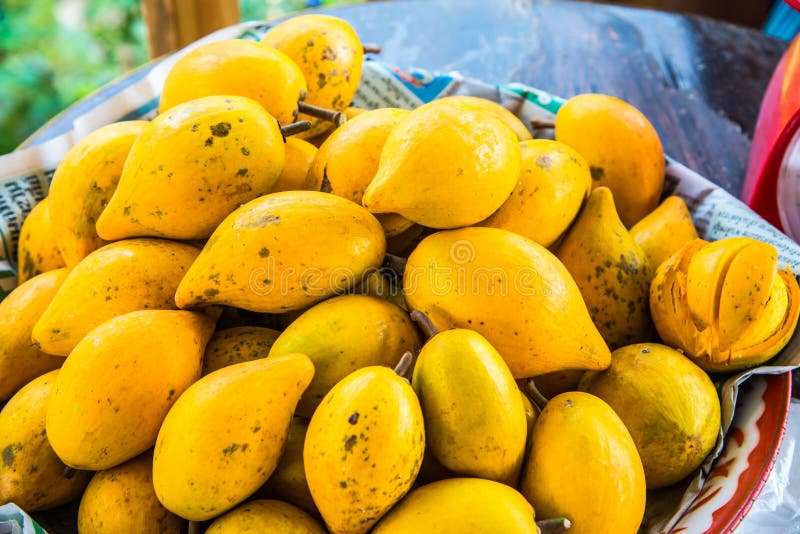 Fresh canistel fruits stock photo. Image of tasty, edible - 207262292