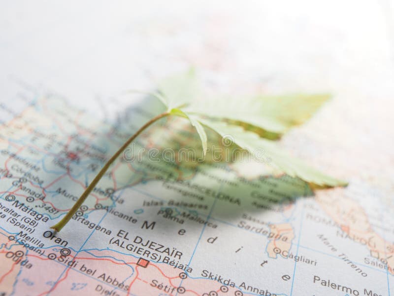Fresh Cannabis Leaf on Map Europe Stock Photo - Image of medical ...