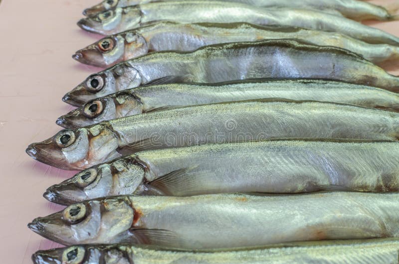 Fresh Capelin Fish on a Cutting Kitchen Board Stock Image - Image of ...