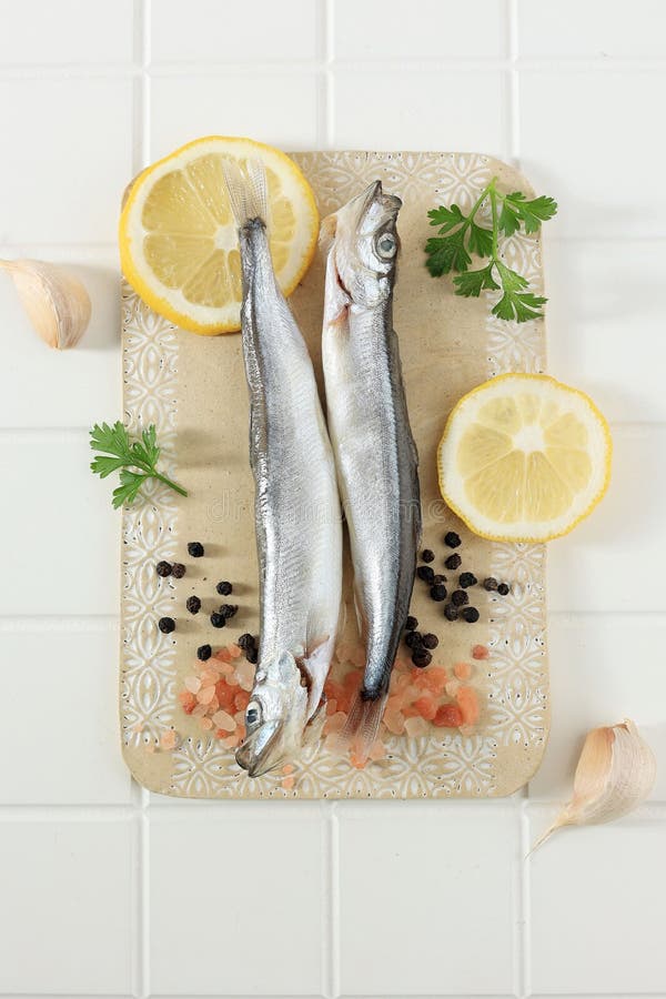 Fresh Capelin Fish or Shisamo Baby Fish Stock Image - Image of bowl ...