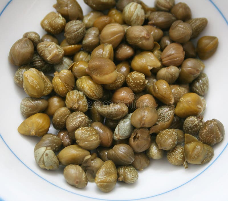 Fresh capers stock photo. Image of vegetables, gourmet - 11487644