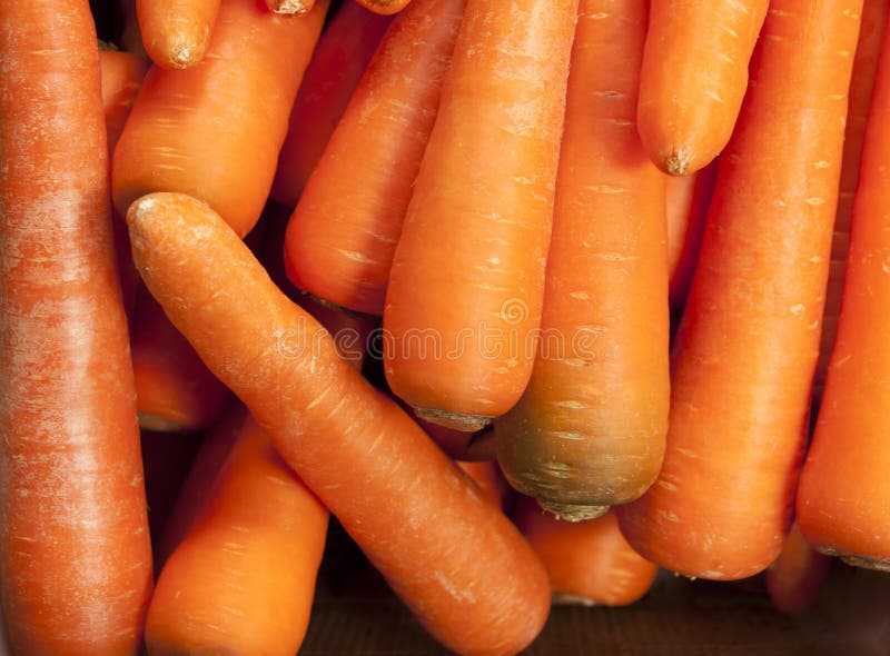 Fresh carrot stock image. Image of carrot, recipe, puree - 15428453