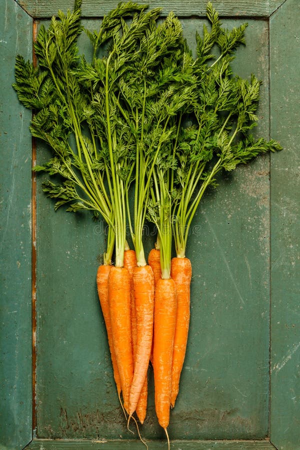 Carrot Bunch stock photo. Image of leaf, diet, natural - 59909290