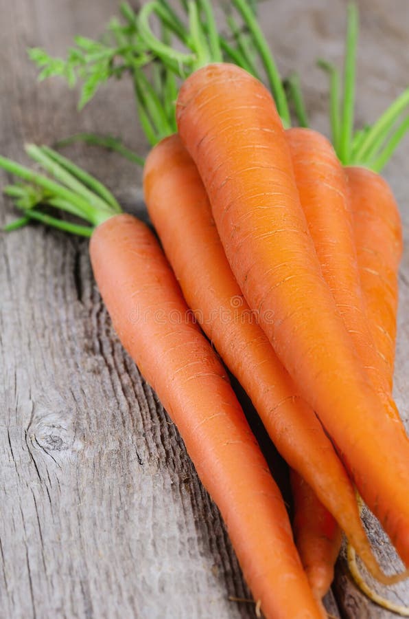 Carrot Bunch stock photo. Image of leaf, diet, natural - 59909290