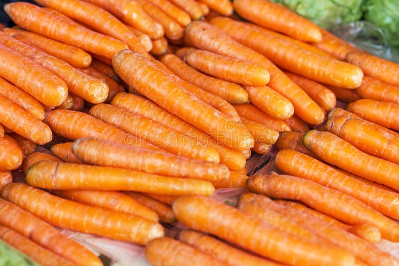 Fresh Carrot Vegetable stock photo. Image of carrot, vegetable - 69517654