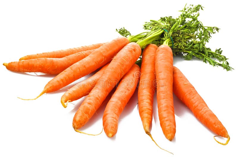 Fresh Carrots stock image. Image of market, isolated - 21167239