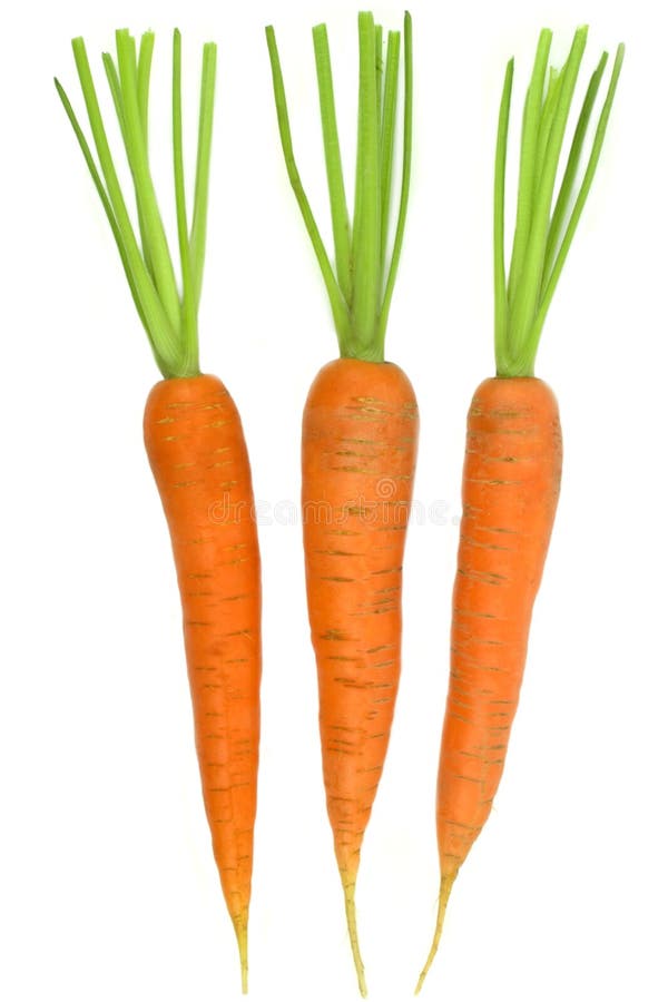 Carrots stock image. Image of detail, cooking, sharp - 19611911