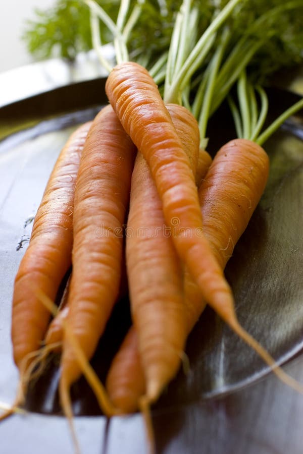 Fresh Carrots stock photo. Image of bunch, vegetable, stems - 2723452