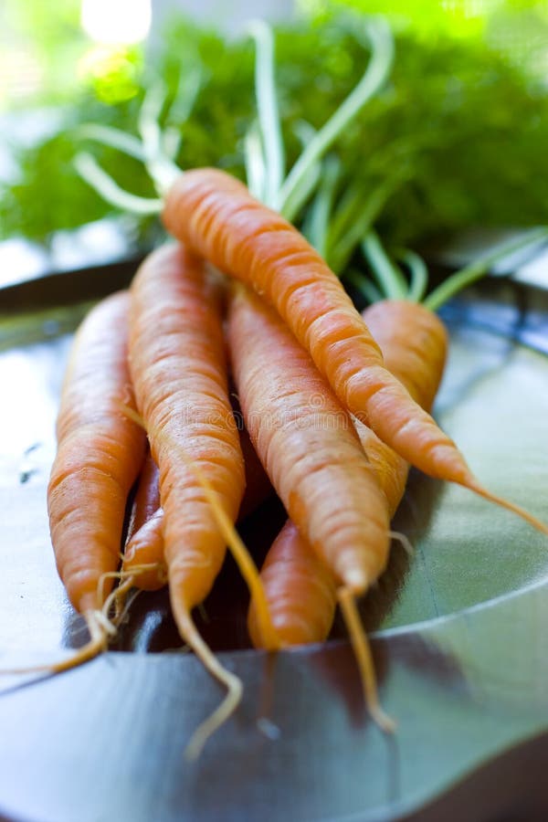 Fresh Carrots stock image. Image of market, isolated - 21167239