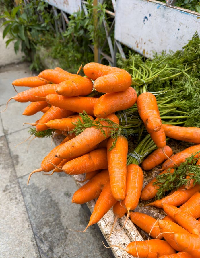 Fresh Carrots Being Sold by Vendor Along Roadside Stock Image - Image ...