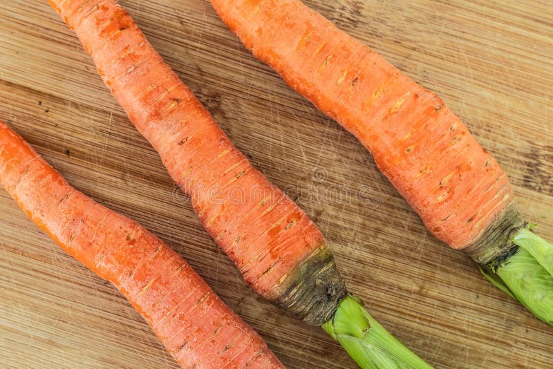 Fresh Carrots Many Orange Root Vegetables Clean Closeup Beta Carontin ...