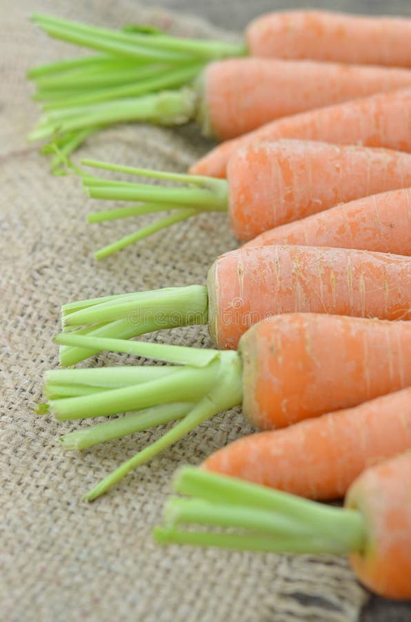 Collection Fresh Carrots on Raw Cloth, Closeup Stock Photo - Image of ...