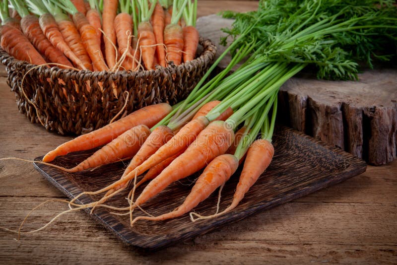 Fresh baby carrots stock image. Image of colorful, baby - 244327361