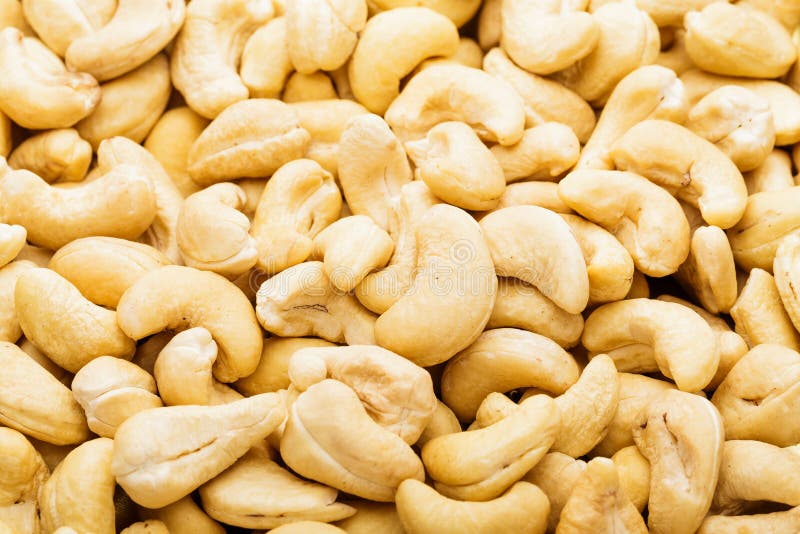 Fresh cashew nuts stock photo. Image of vegetarian, unfinished - 34219132